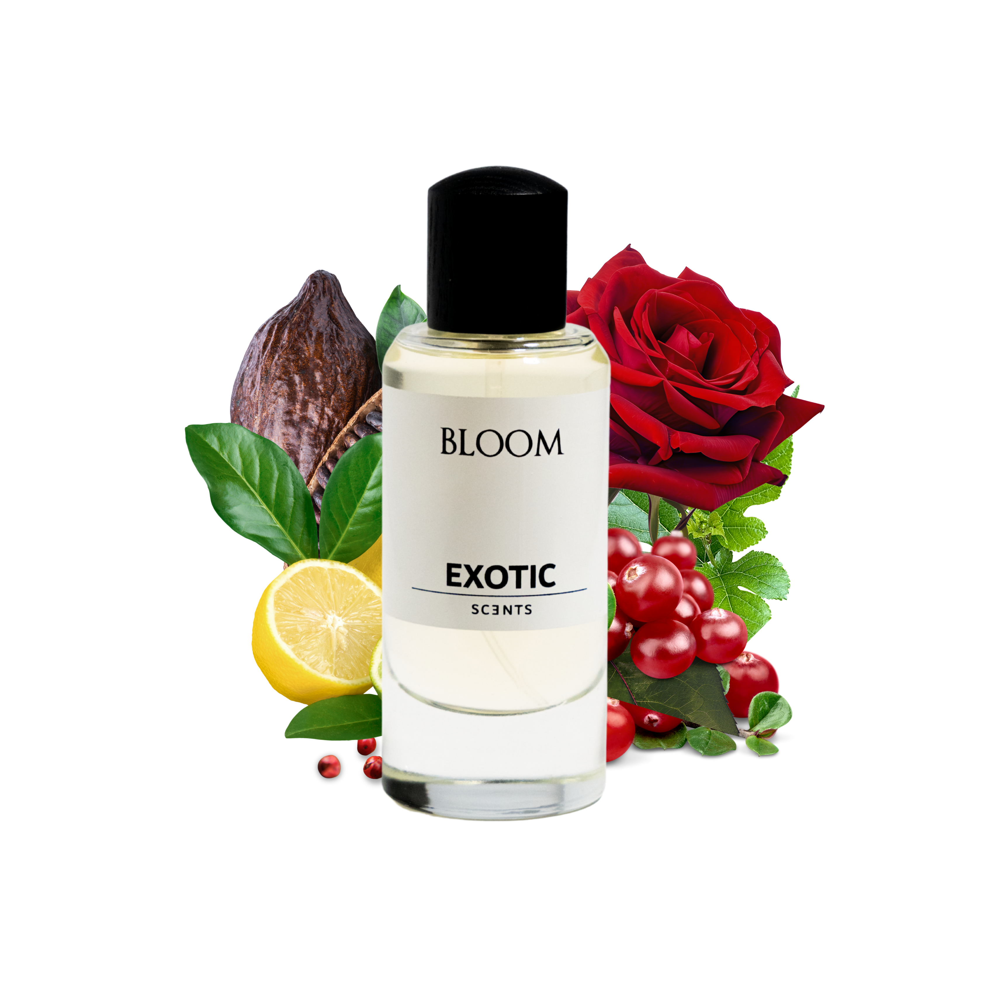 BLOOM EDP - Fruity Floral Fragrance for All Occasions (60 ML) – Exotic ...