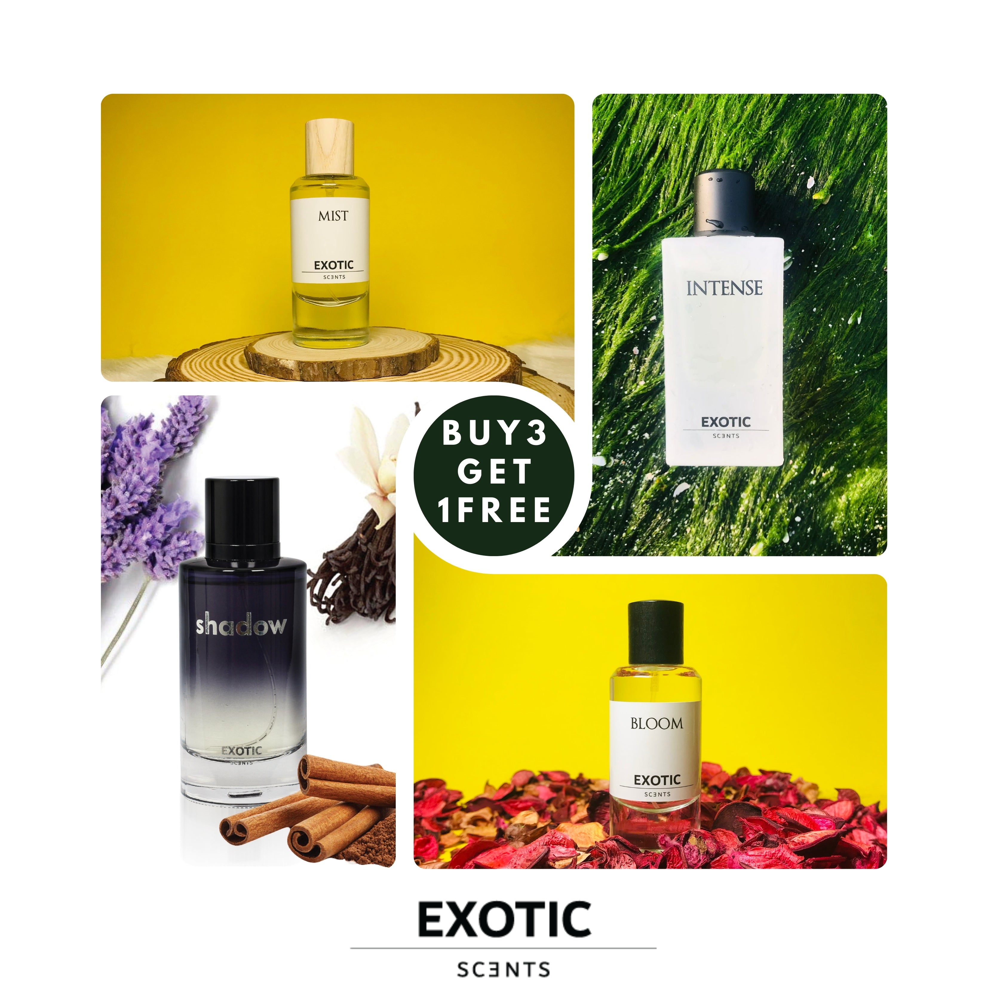 INTENSE, MIST, BLOOM & SHADOW Combo (BUY 3 GET 1 FREE)- Ultimate ...