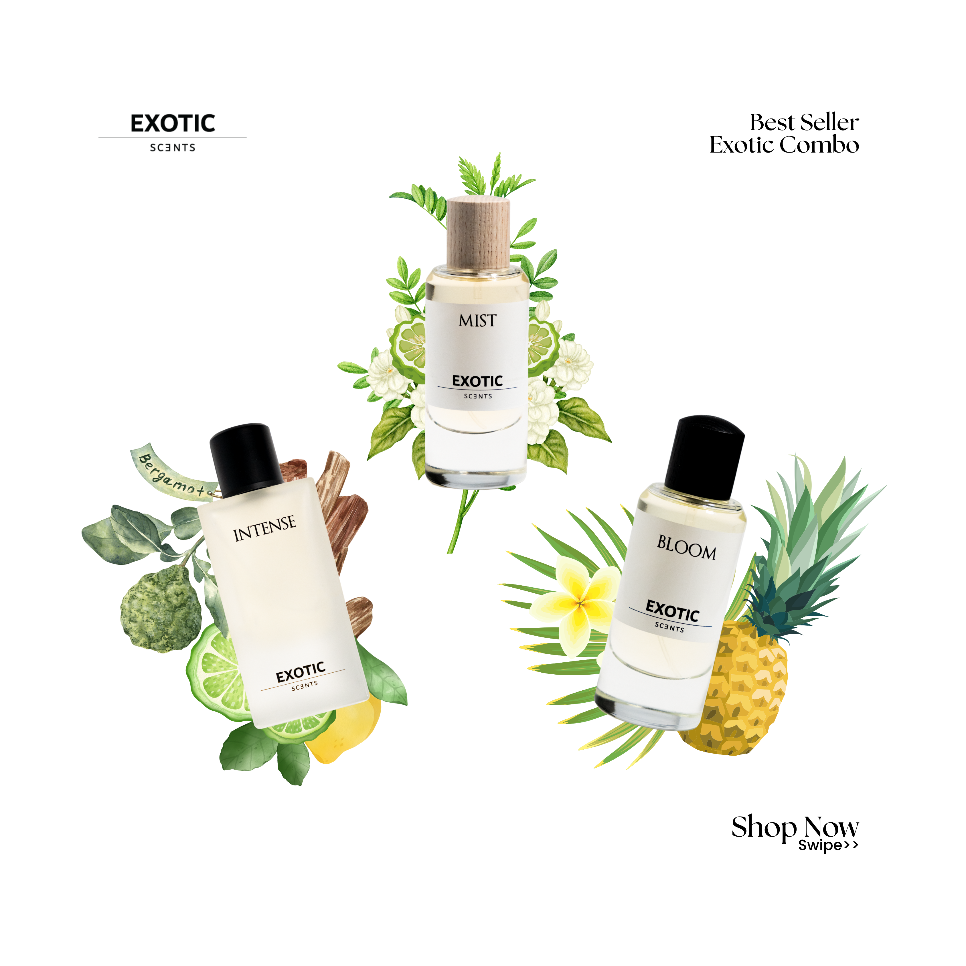 INTENSE, MIST & BLOOM Combo - Best Seller Exotic Combo – Exotic Scents